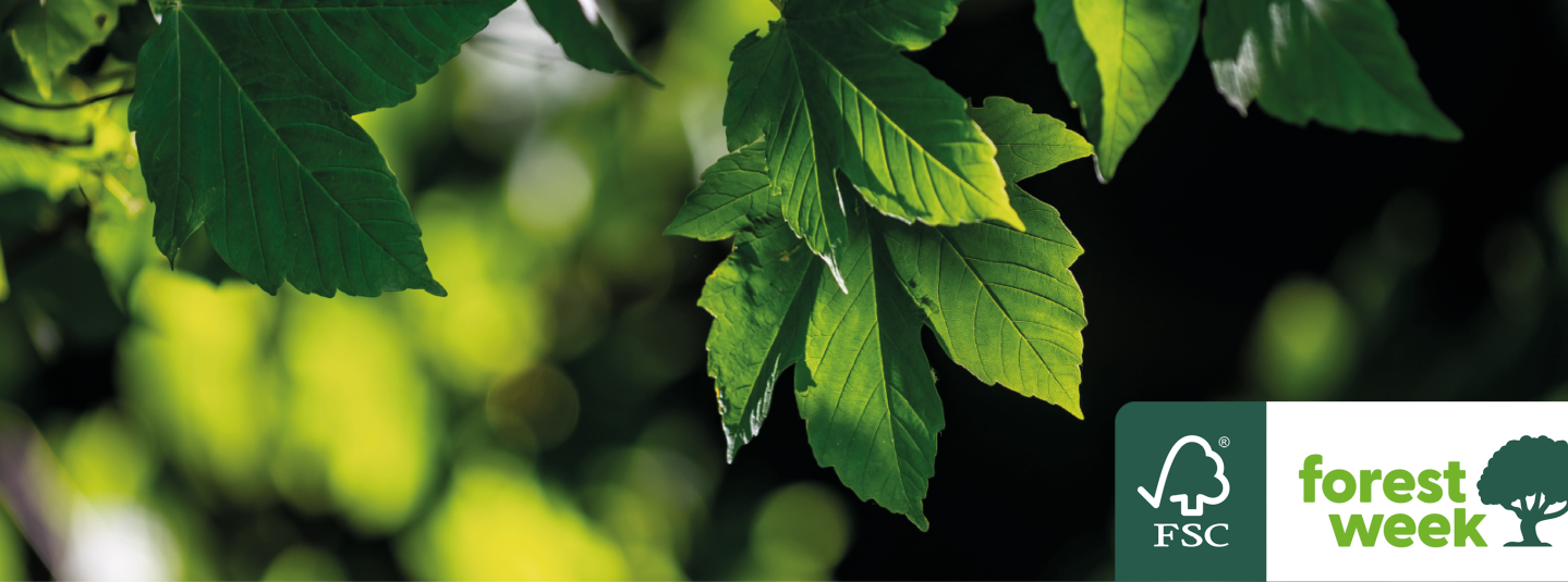 Homepage Denmark | Forest Stewardship Council